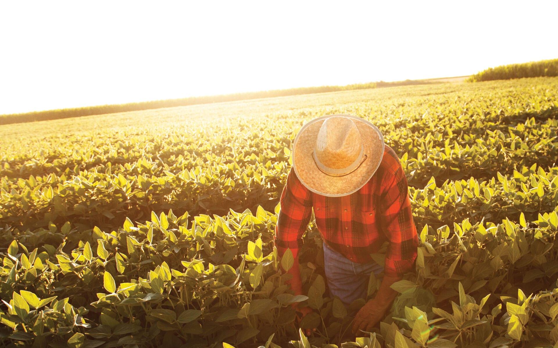 Migrant Farmworker Project - Central West Justice Center